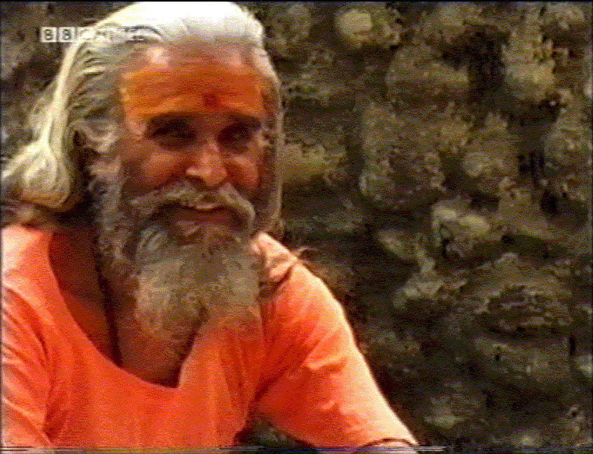 Dandi Swami Narayananand Saraswati - www.paulmason.info